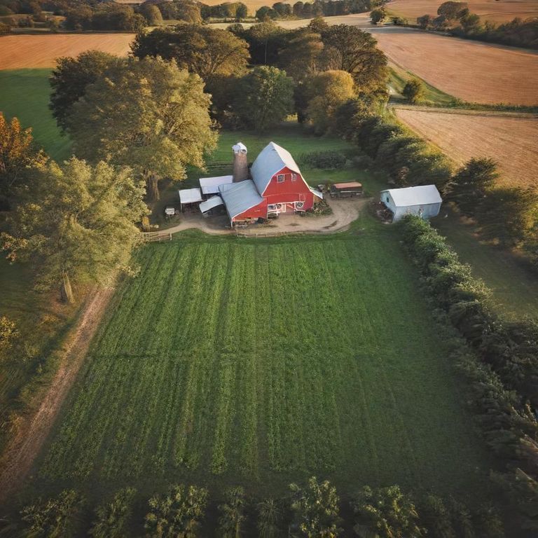 Lazy acres farm View video anytime - Panaynewsphilippines