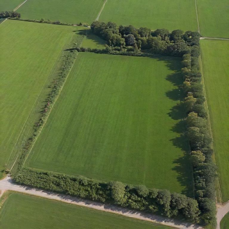 Watch How big is an acre and a half video now in HD - "Explore ...